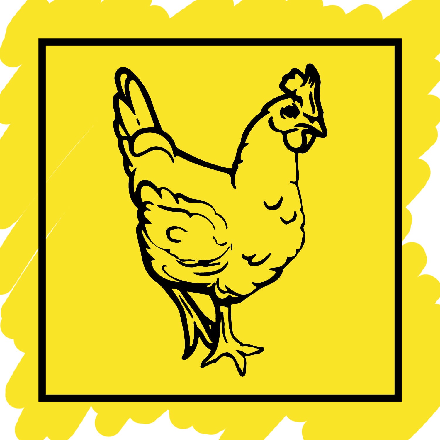 Started Pullets – Deer Run Farm