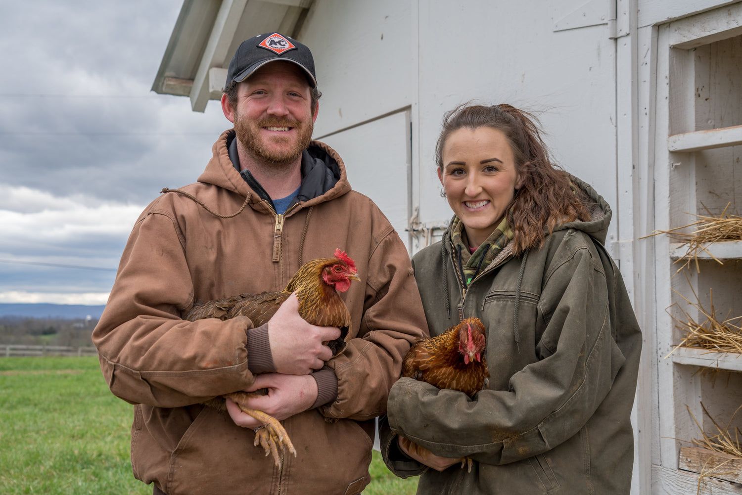 Deer Run Farm: Heritage Chicken Hatchery and Registered Red Angus
