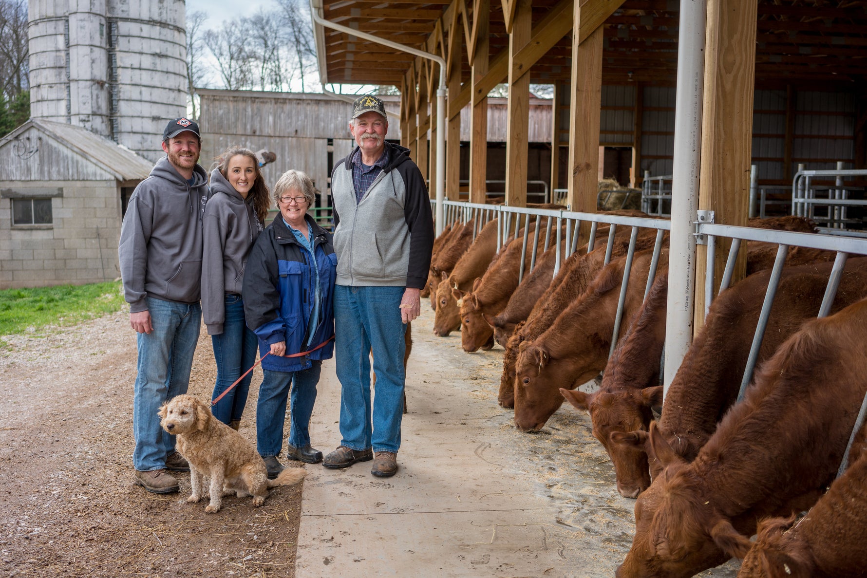 Deer Run Farm: Heritage Chicken Hatchery and Registered Red Angus