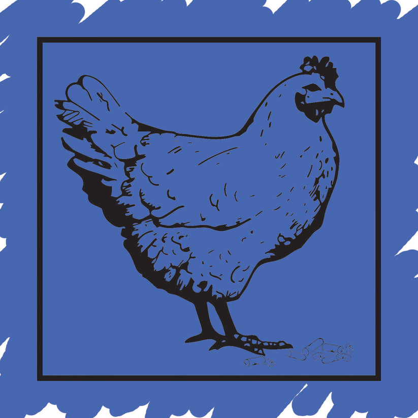 Layer Chicken Feed – Deer Run Farm